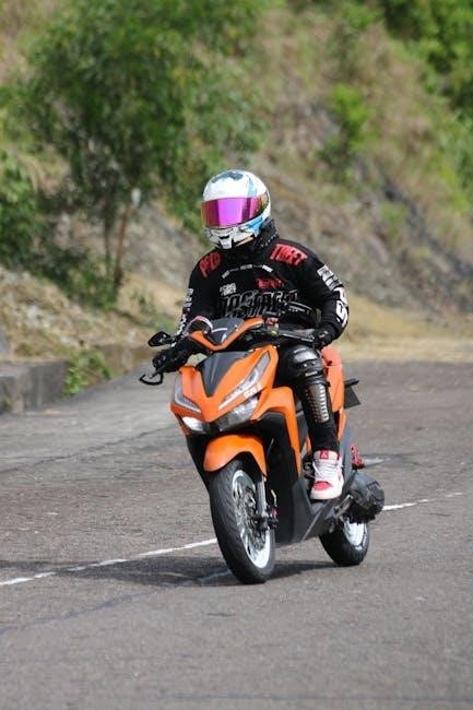 GoGo Scooter Manual - Official Guide & Troubleshooting Tips